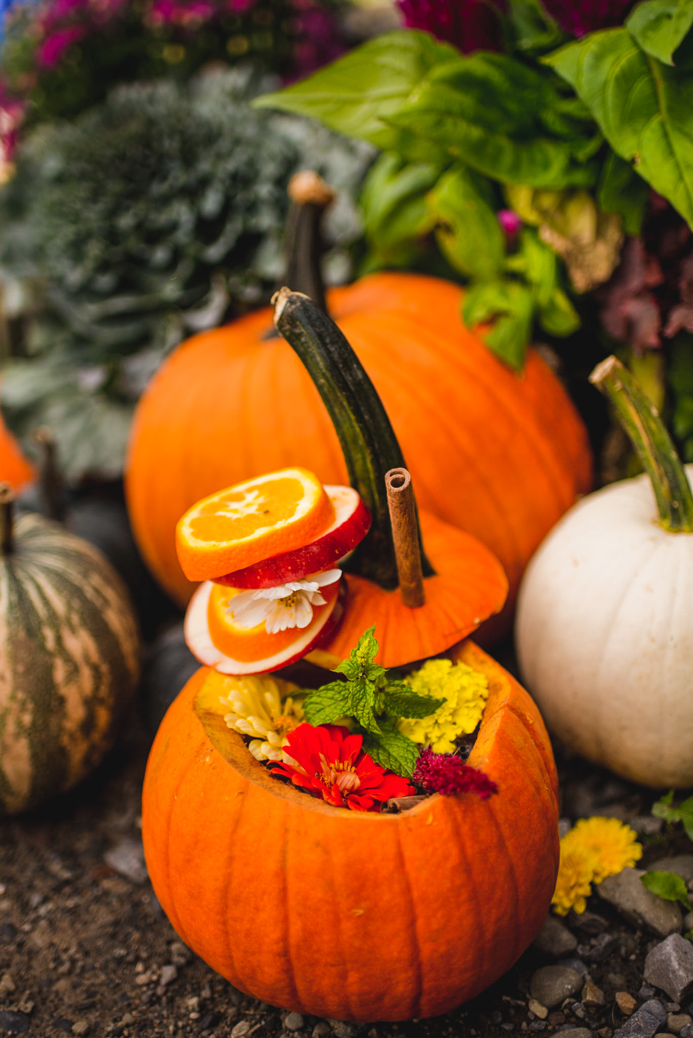 A pumpkin-filled fall
