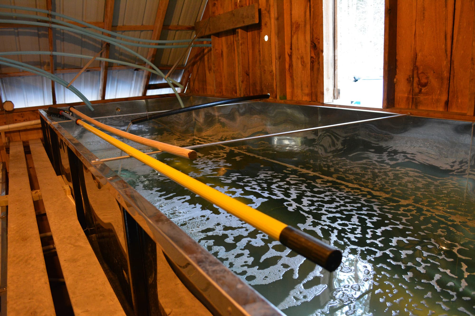 Sweetening the climate change deal