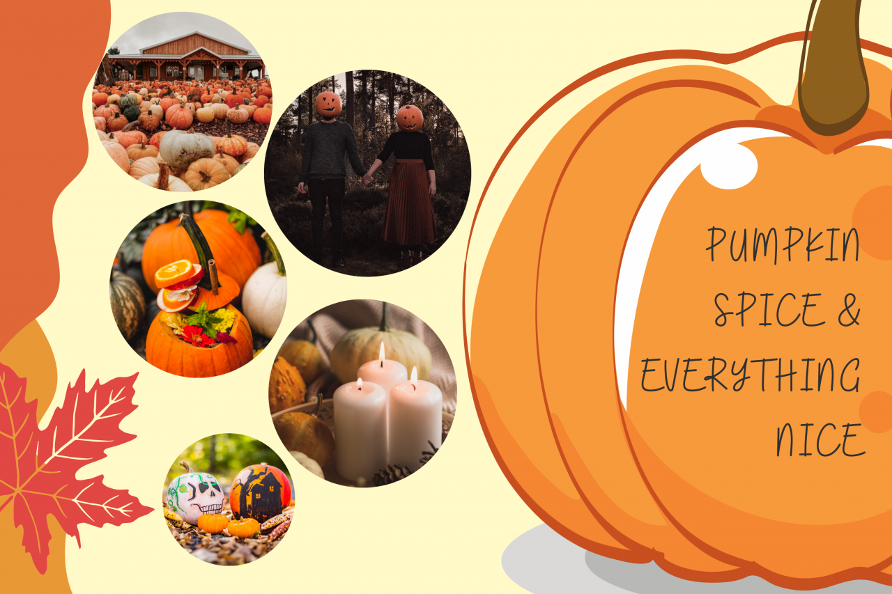 A pumpkin-filled fall