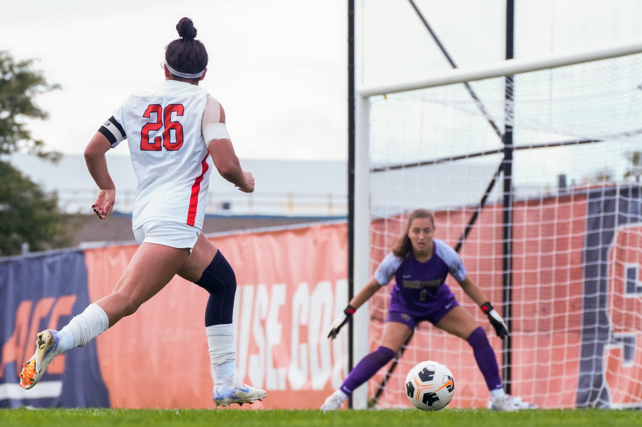 Lauren Kalman combines the grotesque and the beautiful in her ...