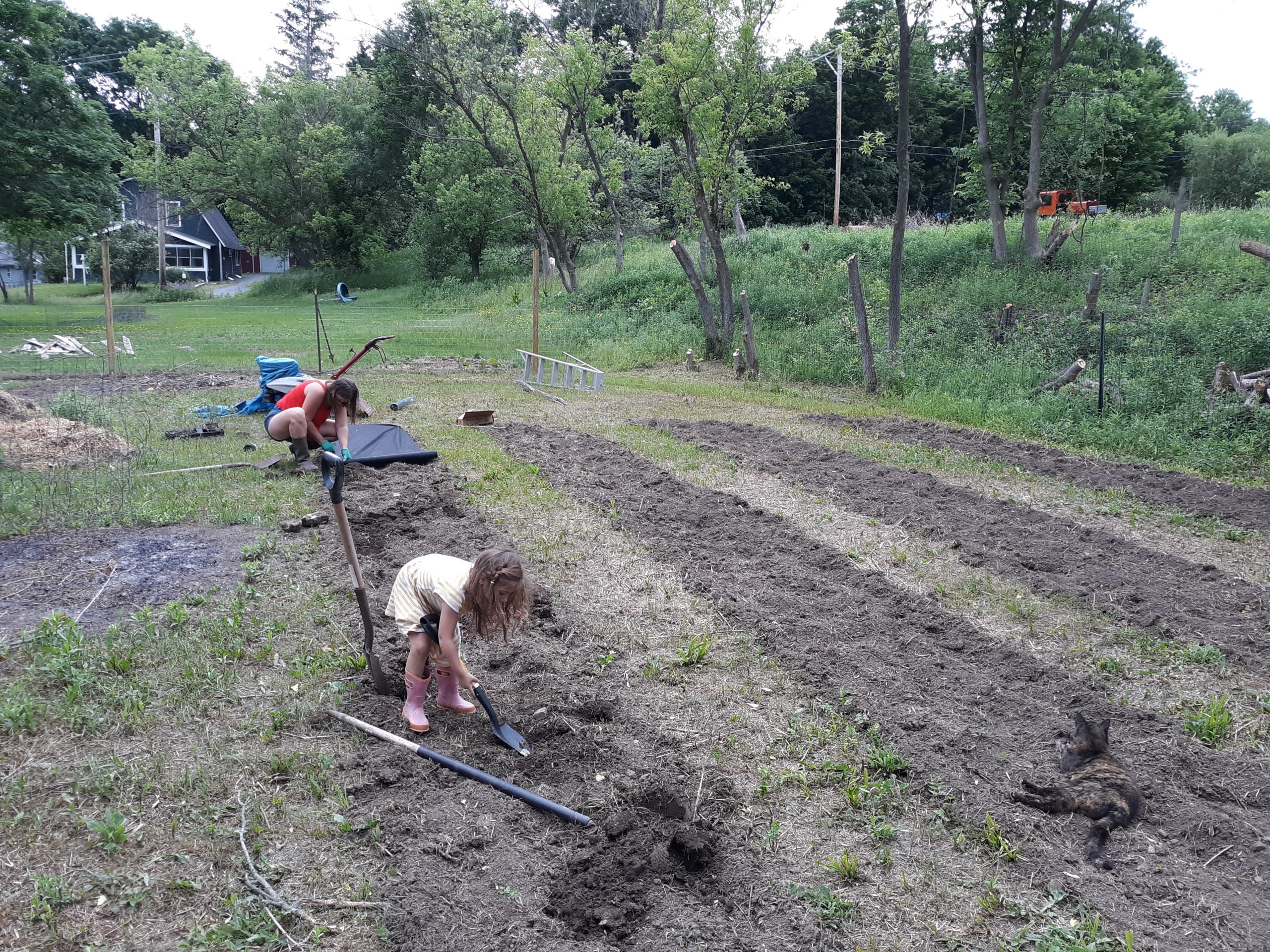 The fight to keep small farms alive in Central New York