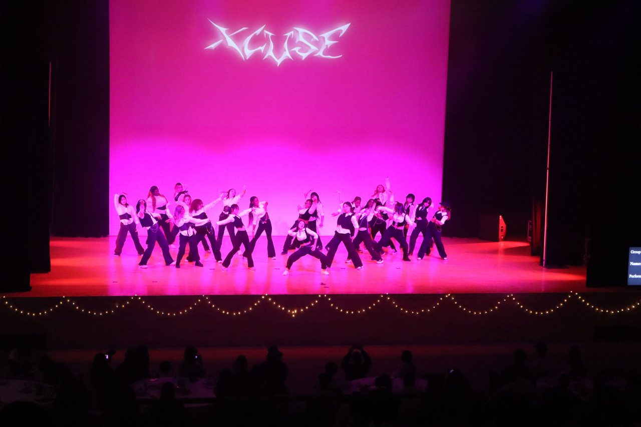 Chinese Union hosts gala for Lunar New Year