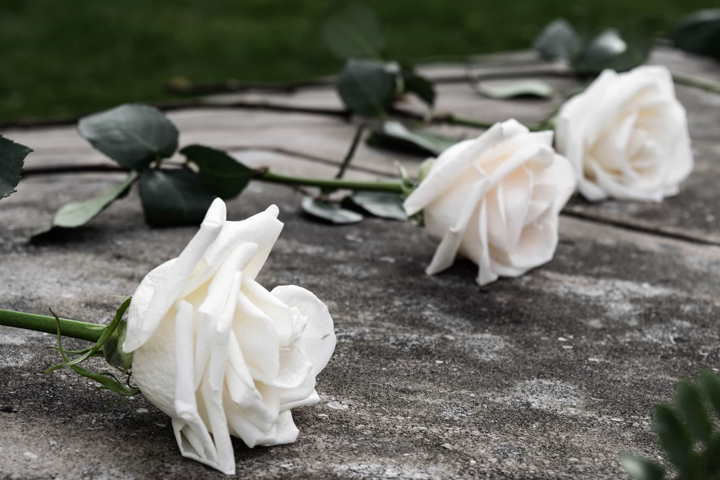 Rose laying ceremony emphasizes the importance of community | The NewsHouse