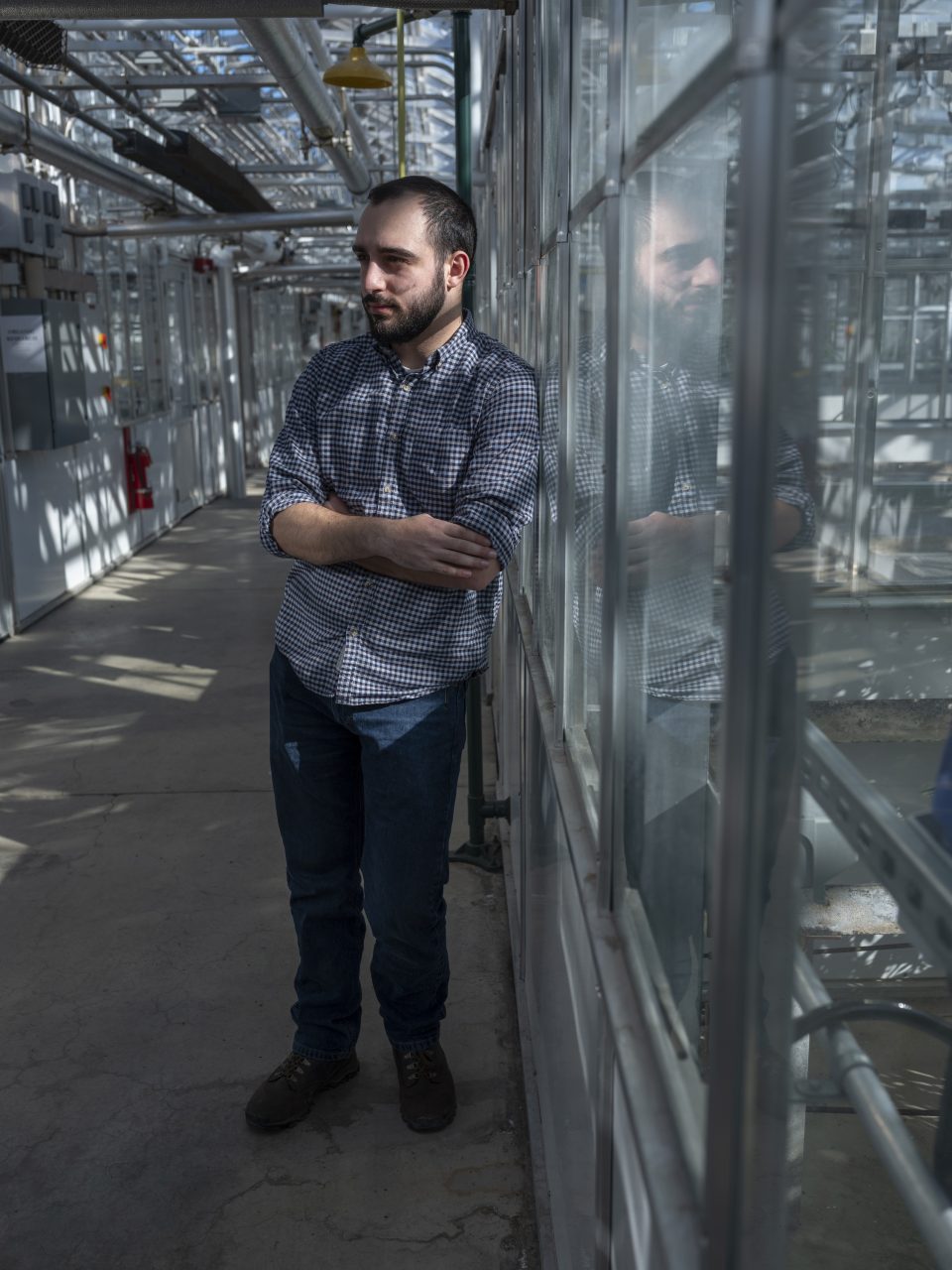 Challenges slow cannabis research despite rapidly expanding industry ...